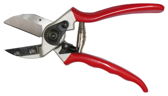6.3" Anvil Hand Pruners, 1" Cutting Capacity - Pruning Tools - by ...