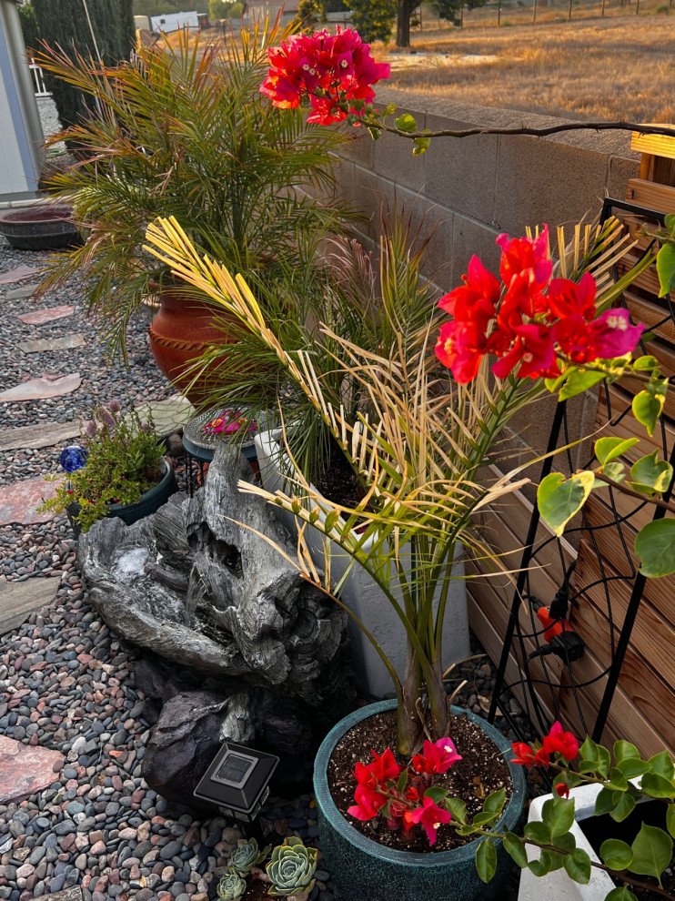 6 Ideas for Creating a Mood-Boosting Outdoor Sanctuary