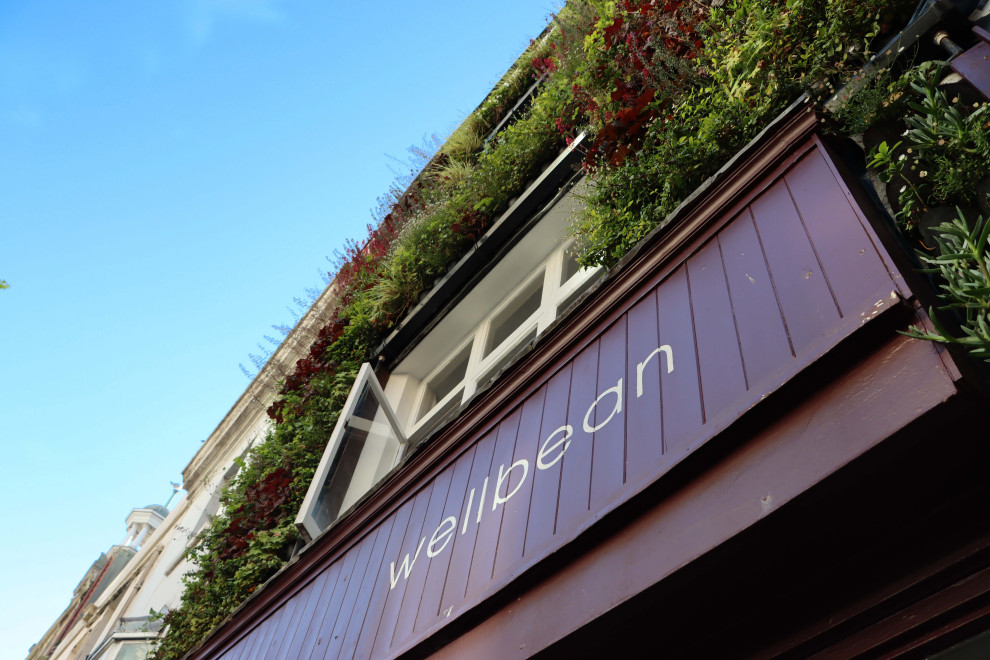 Wellbean Cafe - Modern - House Exterior - Sussex - by Verti-Grow | Houzz UK