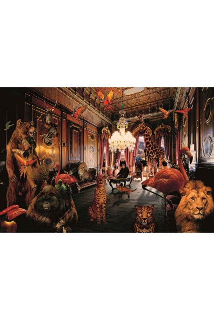 Wildlife Photographic Artwork XL, Andrew Martin Animal Kingdom ...