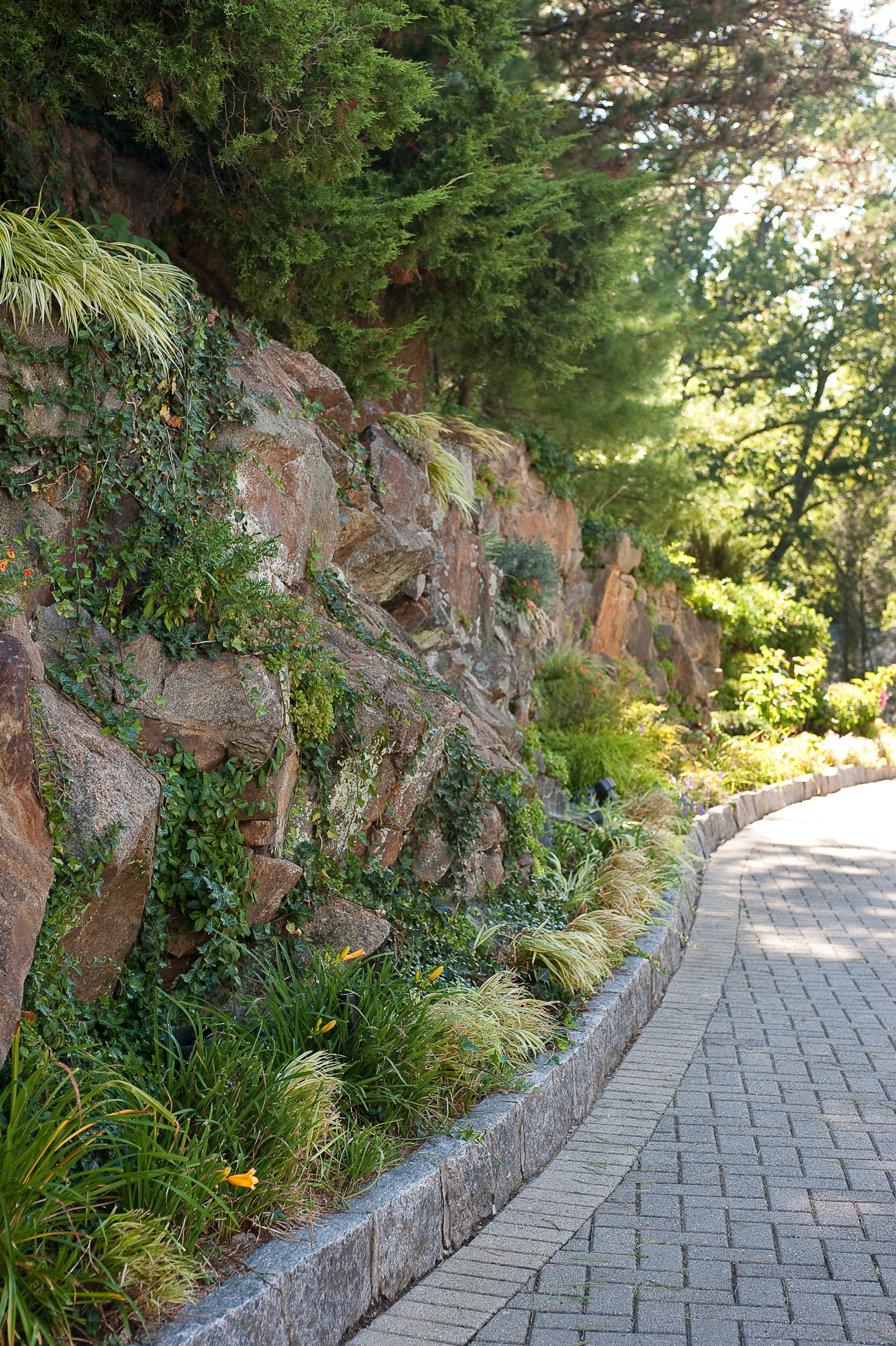 Sloped Driveway Landscaping Ideas Need New Home Front Yard Landscape