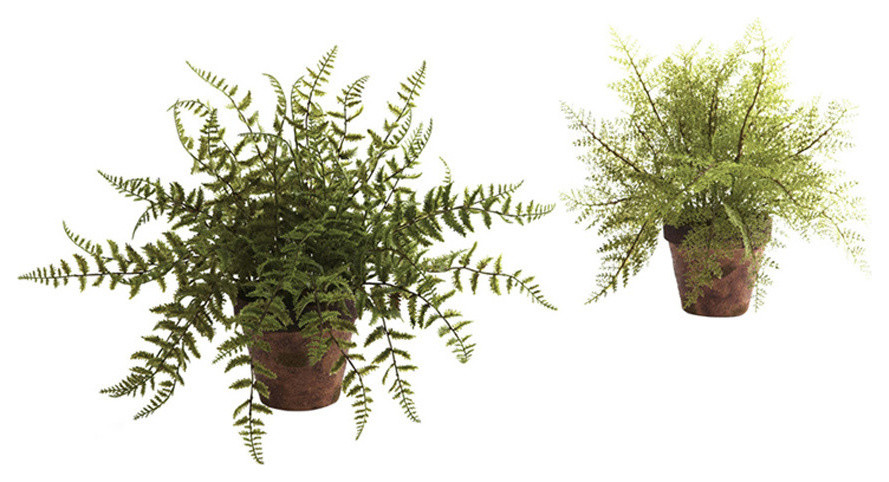 Fern With Decorative Planter, Set of 2 - Traditional - Artificial ...