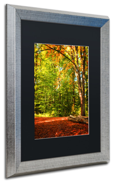 Philippe Sainte-Laudy 'Sideways Dreaming' Matted Framed Art, 16"x20 ...