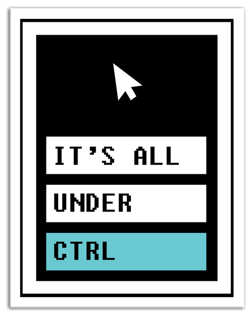 It's All Under CTRL 11x14 Canvas Wall Art - Contemporary - Prints And Posters - by Designs ...
