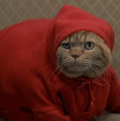 KUFUMA - Project Photos & Reviews - Kuwait, CT US | Houzz