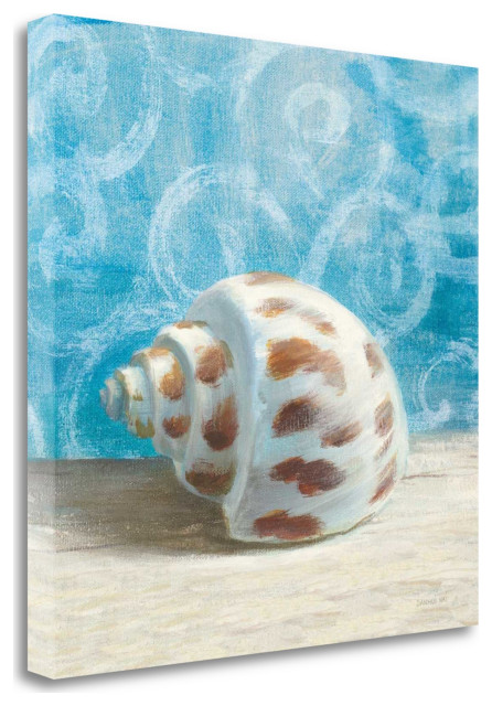 30" Mod Blue Scroll Coastal Conch 2 Giclee Wrap Canvas Wall Art - Beach ...