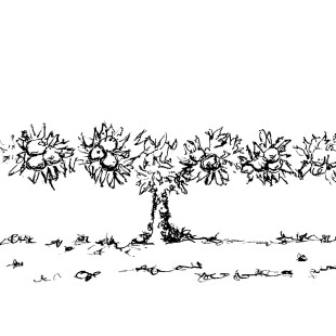 DON HUGGINS DESIGNS - Project Photos & Reviews - ROBBINSVILLE, NJ US ...