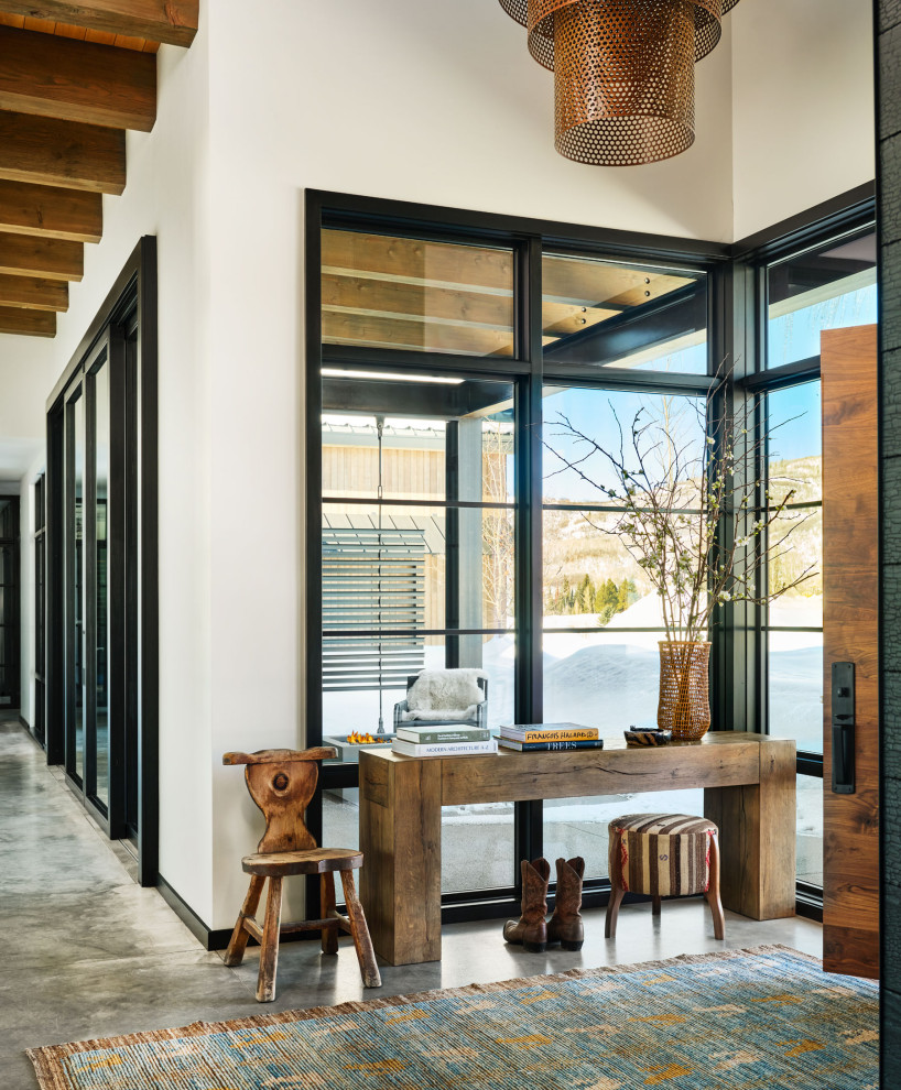 Steamboat - Modern - Entry - Denver - by Alexa Interiors LLC | Houzz