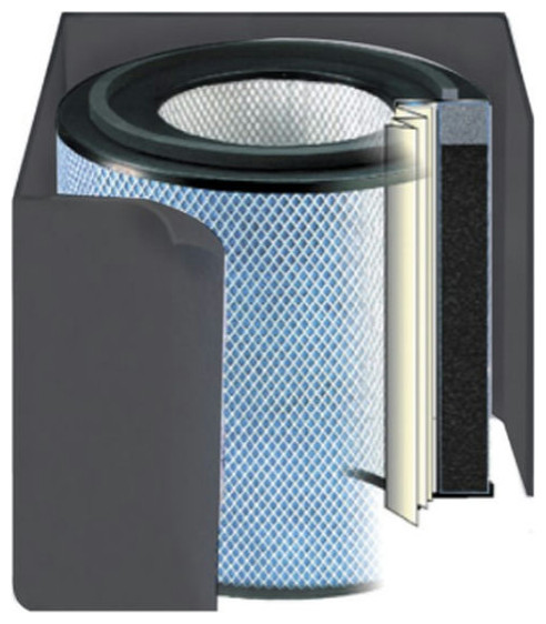 Standard Replacement Filter With Black Prefilter for Bedroom Machine ...