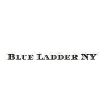 BLUE LADDER NY - Project Photos & Reviews - glen oaks, NY US | Houzz