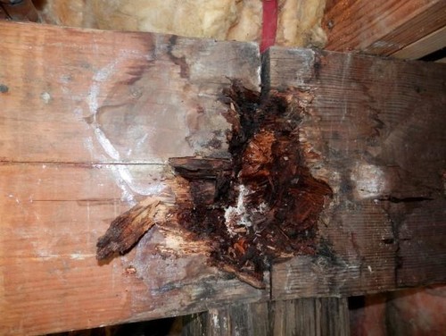Wood Support Beam Rot/Water Damage
