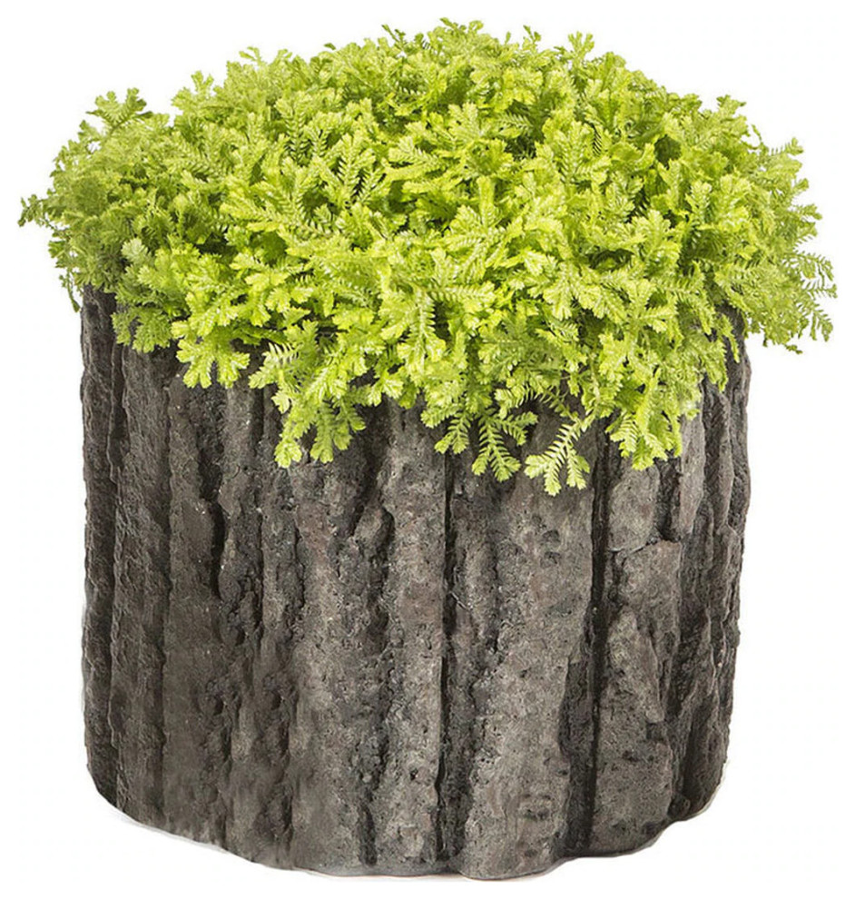 Cement Round Bark Container XL - Industrial - Indoor Pots And Planters ...