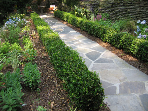 informal Bluestone walkway and stacked stone retaining wall ...