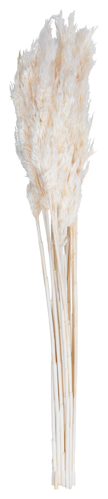 Vickerman H1PLR999-2 36" Bleached Plume Reed Bundle, 30-40 Stems ...