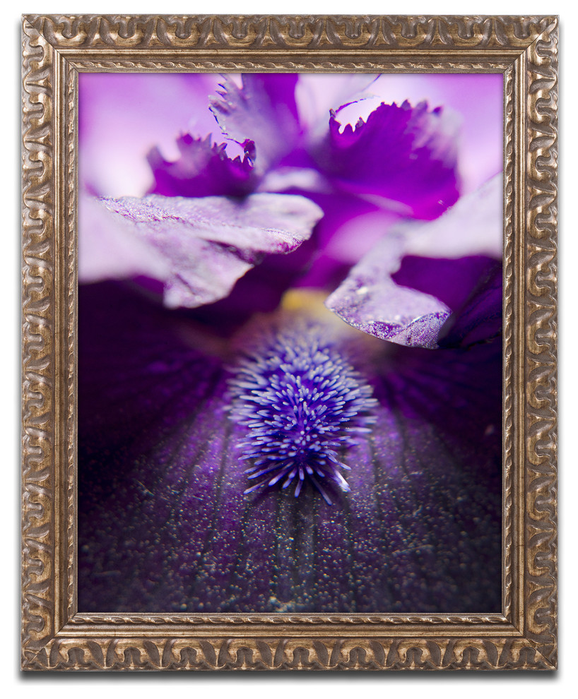 PIPA Fine Art 'Stigma of Iris' Ornate Framed Art, 14x11 - Traditional ...