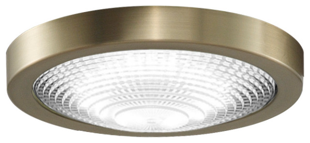 Fanimation Spitfire LED Ceiling Fan Light Kit - Brushed Satin Brass ...