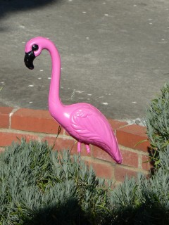 JILL SINGLETON - Project Photos & Reviews - Sidney, BC CA | Houzz