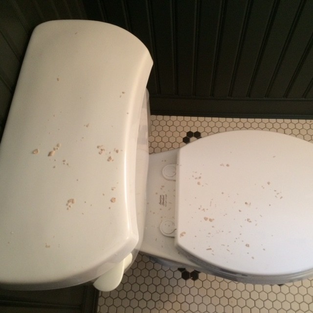 Weird debris falling from ceiling