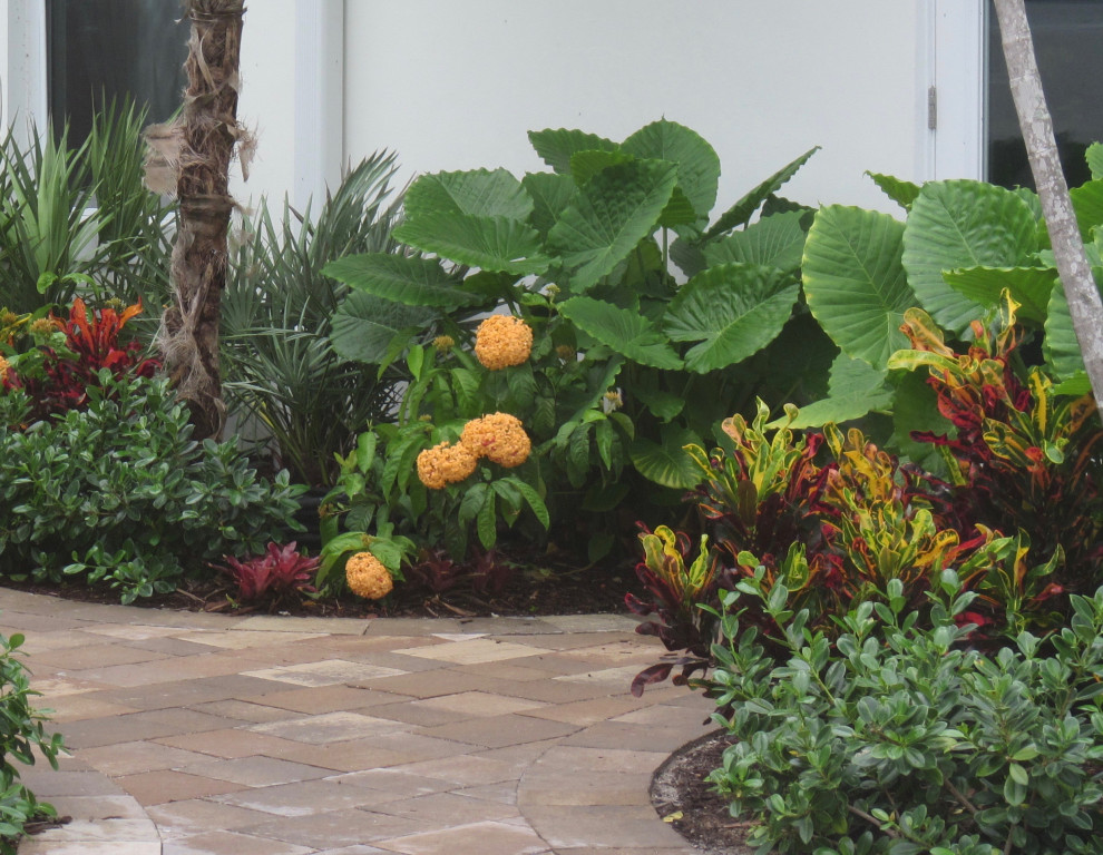 Caribbean Landscaping Ideas - Tropical - Miami - by Matthew Giampietro ...