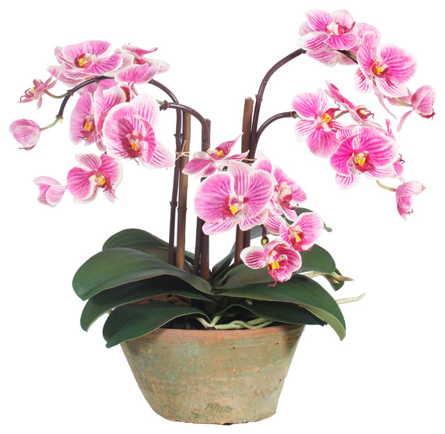 Petite Potted Faux Orchid, Lavender and Pink - Contemporary ...