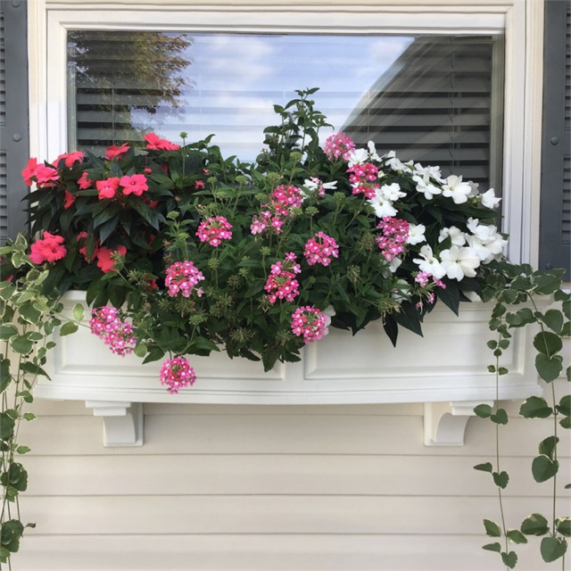 Mayne Nantucket 4ft Weatherproof Traditional Plastic Window Box in ...