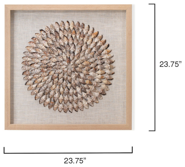 Riviera Framed Wall Art, Beige Simnia Shell - Beach Style - Wall ...