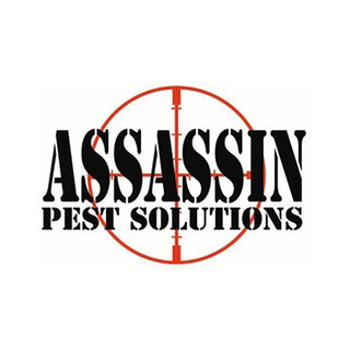 ASSASSIN PEST SOLUTIONS - Project Photos & Reviews - Carson City, NV US ...