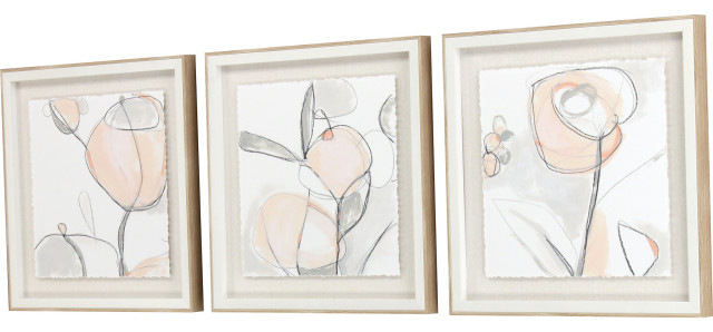 Blush Affinity I Artwork, 3-Piece Set - Contemporary - Prints And Posters - by Paragon Decor | Houzz