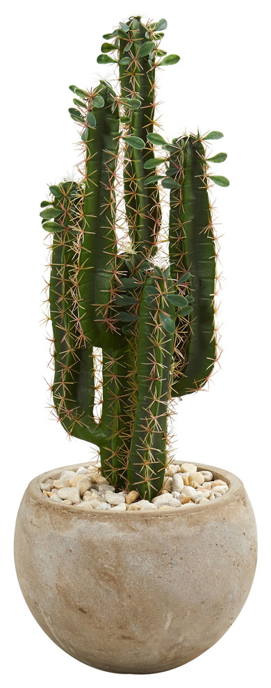2.5' Cactus Artificial Plant, Bowl Planter - Southwestern - Artificial ...
