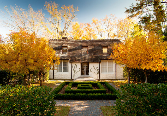 6 Plants for Colorful Fall Foliage in the Water-Wise Western Garden