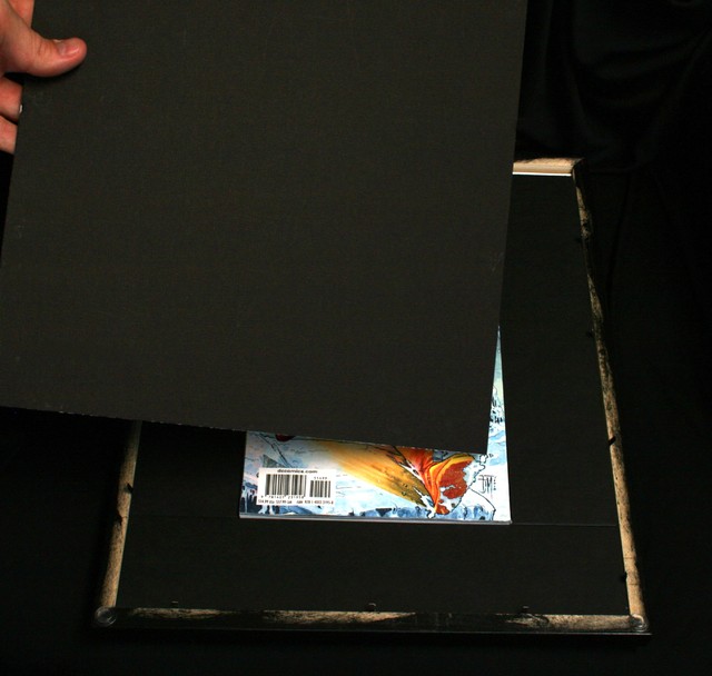 Single Comic Book Frame with Classic Moulding - Traditional - Picture ...