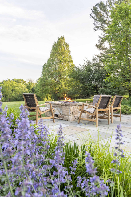 Yard of the Week: A Serene, Plant-Filled Backyard Sanctuary