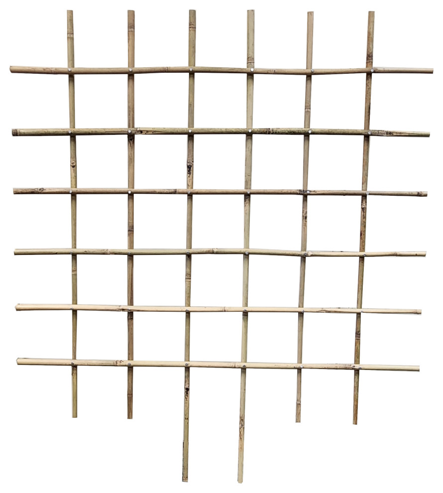 Bamboo Espalier Trellis 36"W x 36"H - Asian - Garden Trellises - by ...