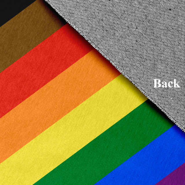 Inclusive Pride Chenille Rug, 2'x3' - Contemporary - Area Rugs - by E ...