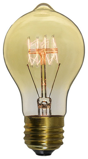 Antique, Victorian Bulb - Traditional - Led Bulbs - by Hangout Lighting ...