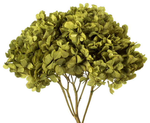 Vickerman H1HYD125 15 Antique Moss Hydrangea With Multiple Branch ...