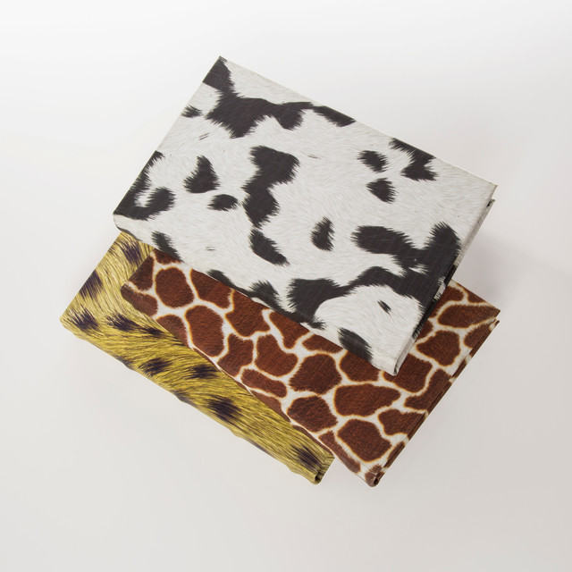The Animal Print Box Set - Contemporary - Storage Bins And Boxes - by ...