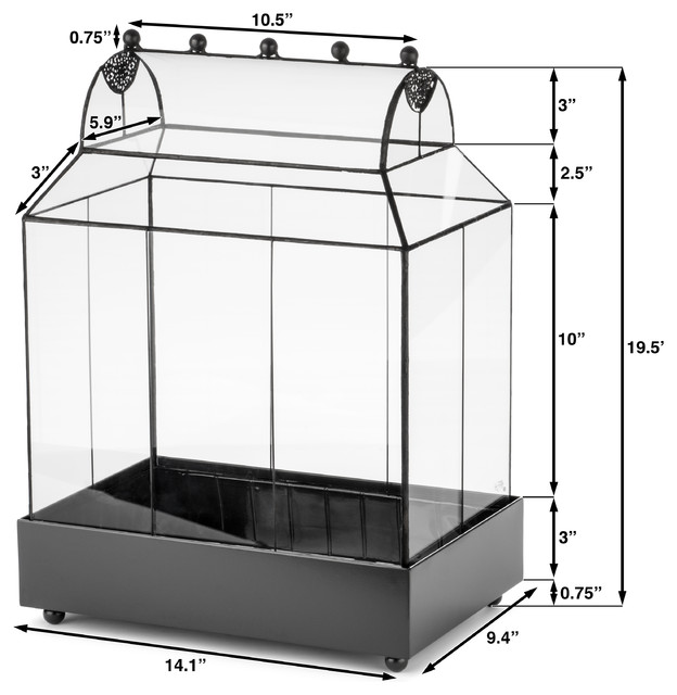 Plant Terrarium Glass Container, Wardian Case - Traditional ...