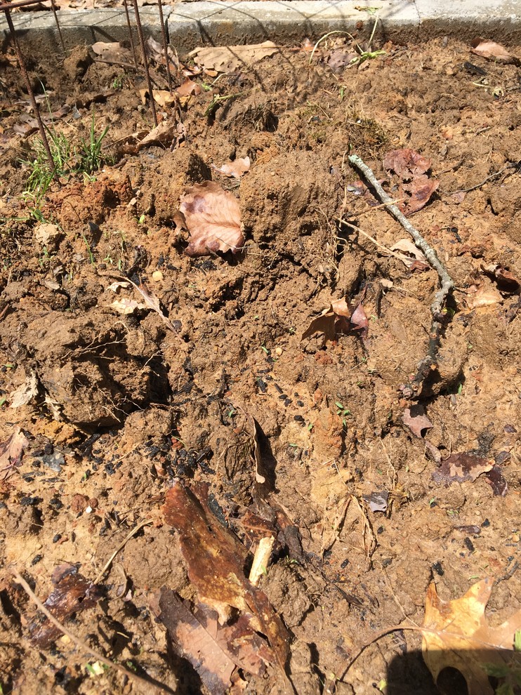 Sandy-feeling soil that doesn’t drain well?!