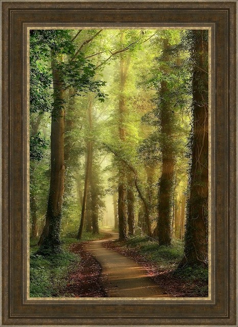 Snake Path Framed Fine Art Print, Hand Embellished - Traditional ...