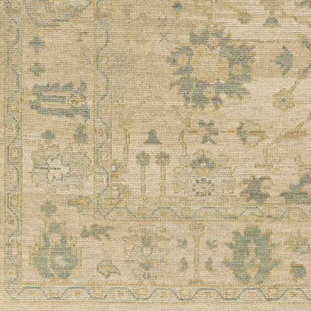 Reign Traditional Area Rug, 2'x3' - Mediterranean - Area Rugs - by ...