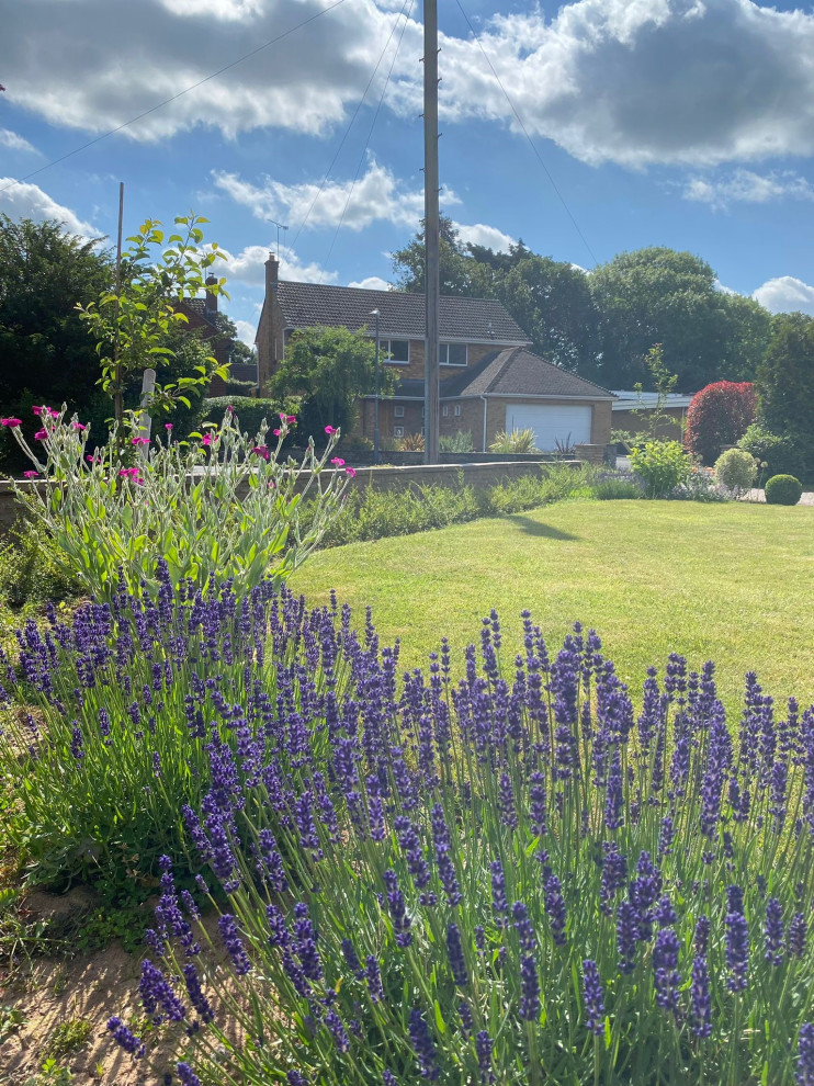 Kenilworth front garden - Traditional - Landscape - West Midlands - by ...