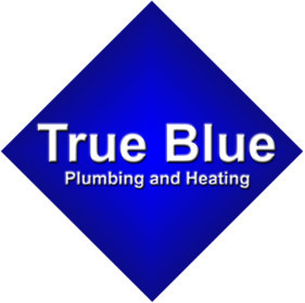 TRUE BLUE PLUMBING & HEATING INC. - Project Photos & Reviews - Weymouth ...