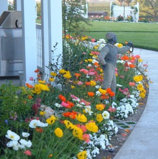 DOMINIC BIANCHI LANDSCAPE SERVICES - Project Photos & Reviews - Visalia ...