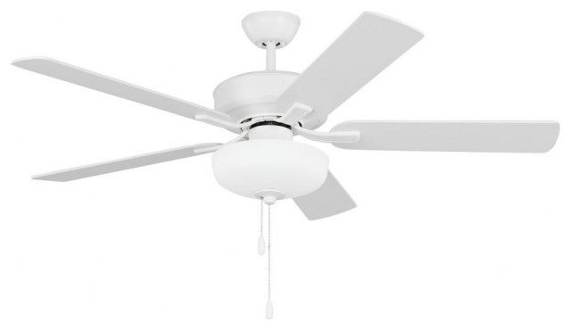 5 Blade Ceiling Fan Light Kit In Traditional Style-17.2 Inches Tall and ...
