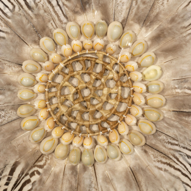 Feather & Shell Wreath Shadow Box Wall Décor - Contemporary - Wall ...