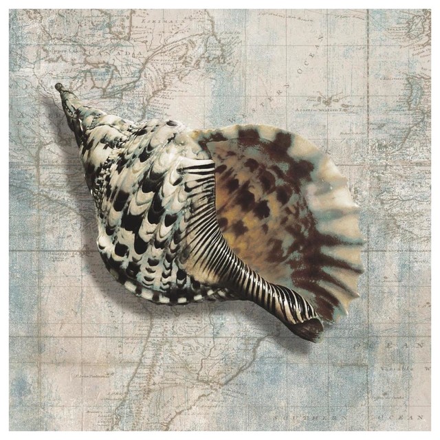 "Sea Shell" Digital Paper Print by Ted Broome, 20"x20", 42"x42" - Beach ...