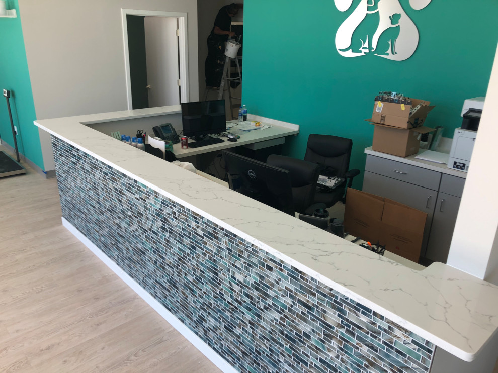 Veterinary Clinic Reception Desk - Tampa - by Absolute Countertops | Houzz