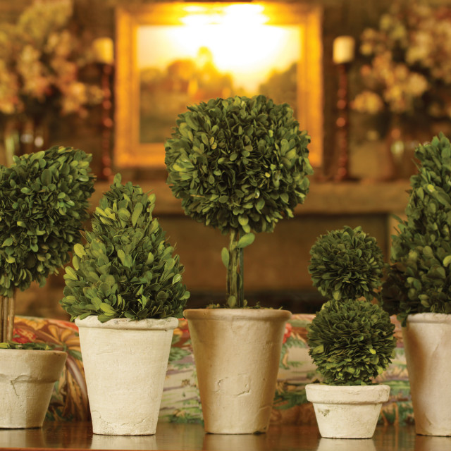 Boxwood Topiaries With Pots - Artificial Plants And Trees - by Napa ...