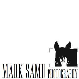 MARK SAMU PHOTOGRAPHY - Project Photos & Reviews - Glens Falls, NY US ...
